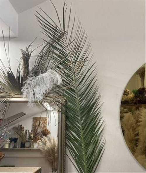 Листья пальмы натуральный декор