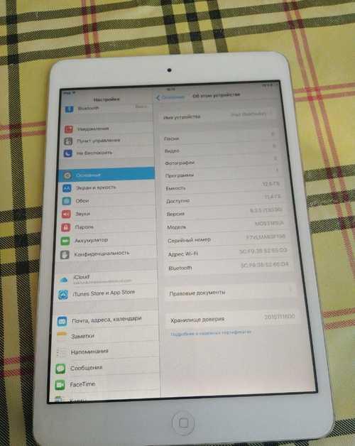 iPad mini