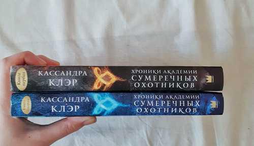 Хроники академии сумеречных охотников