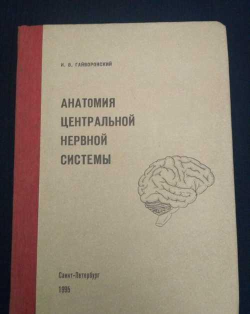 Анатомия цнс Гайворонский
