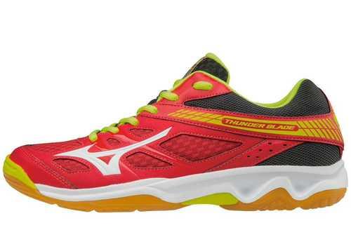 Волейбольные кроссовки Mizuno Thunder Blade (91)