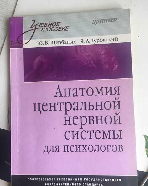 Анатомия центральной нервной системы для психолого