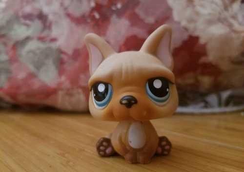 Littlest pet shop