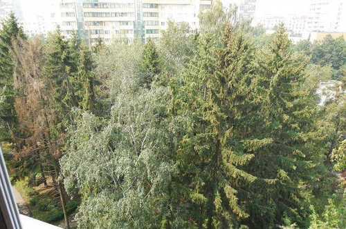 1-к квартира, 35 м², 8/9 эт.
