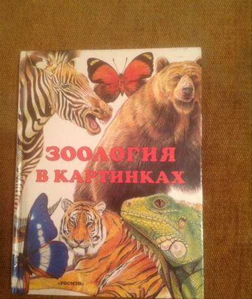 Книга для детей " Зоология в картинках"