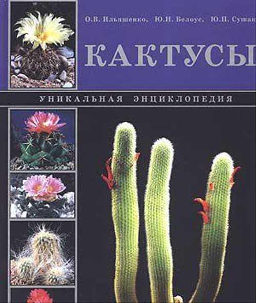 Энциклопедия кактусов. Книги про кактусы. Книга про кактусы. Книга про кактусы. Книга про кактусы.