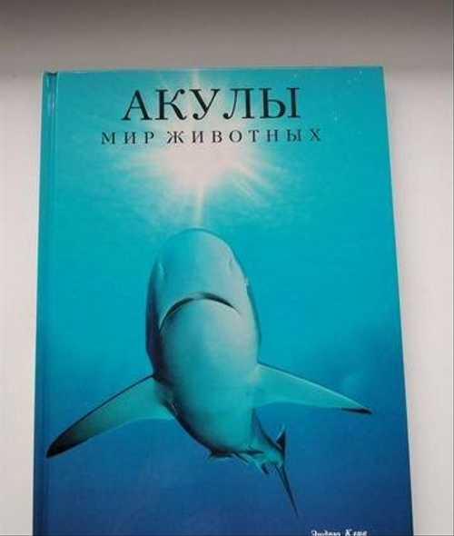 Эндрю Клив "Акулы"