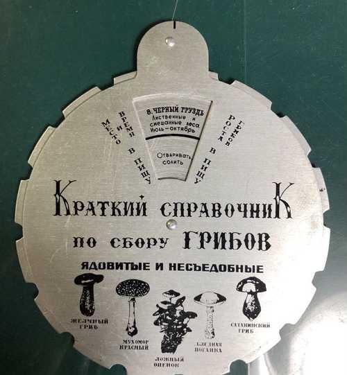 Справочник грибов грибы определитель советский