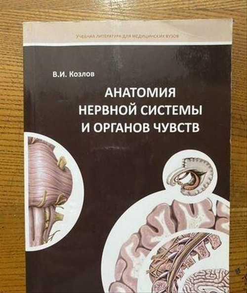 В.и.козлов Анатомия нервной системы