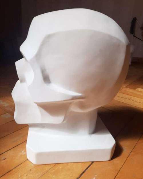Гипсовая голова череп
