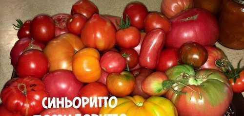 Семена помидоров, болгарского и острого перцев