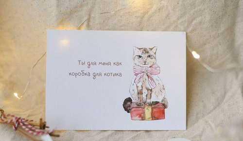 Открытка с котиком