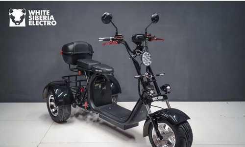 Трехколесный Citycoco WS-PRO 2000 trike