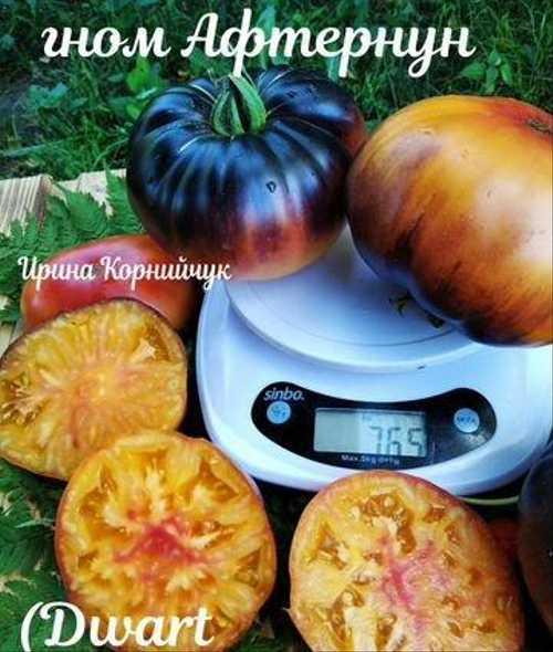 Семена томатов,Томатный Гном,Dwarf Tomato Project