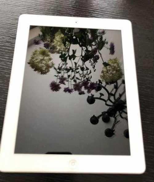 iPad