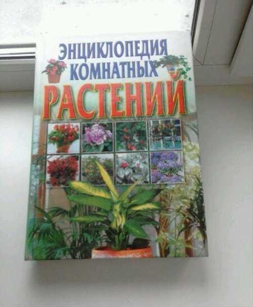 Книга- Энциклопедия комнатных растений