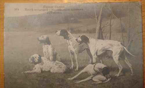 Открытка Париж Салон После испытаний до 1917