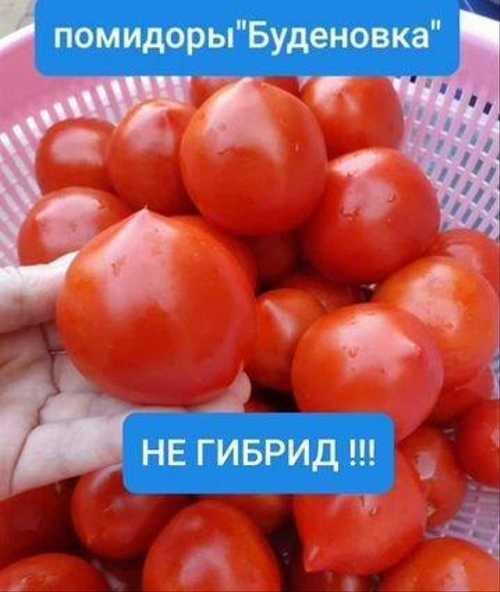Семена свои самых вкусных помидор с СССР
