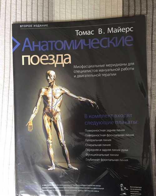 Анатомические поезда плакаты. Книга томаса майерса анатомические поезда