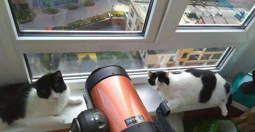 Celestron nexstar 6se