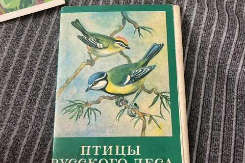 Набор открыток «птицы русского леса»