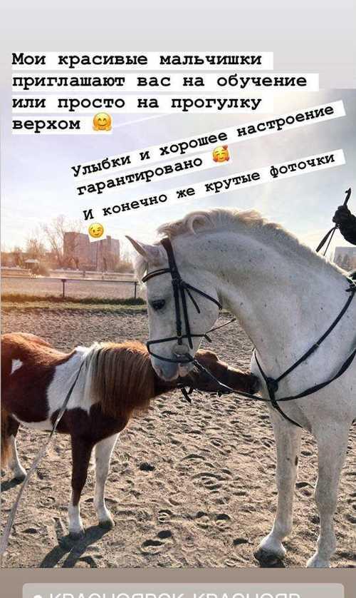 Обучение верховой езде для детей и взрослых:)