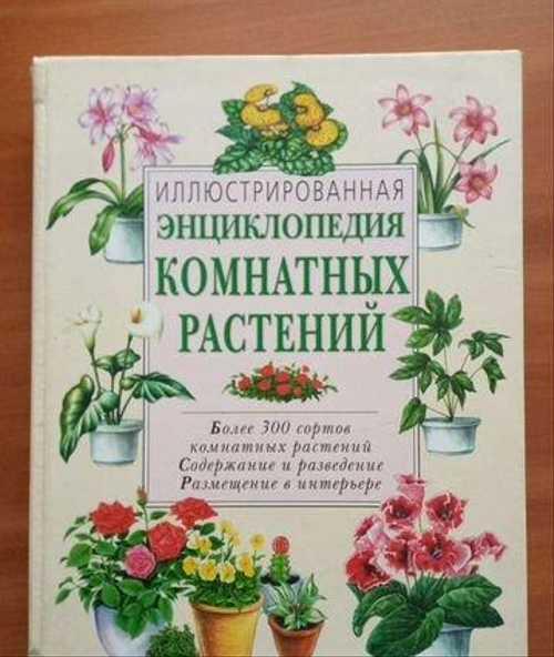 Энциклопедия комнатных растений