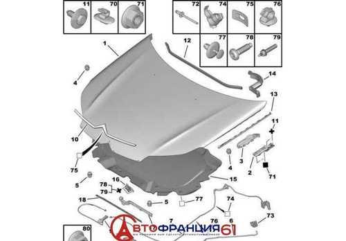 Петля капота, 791343 citroen C5(X7)
