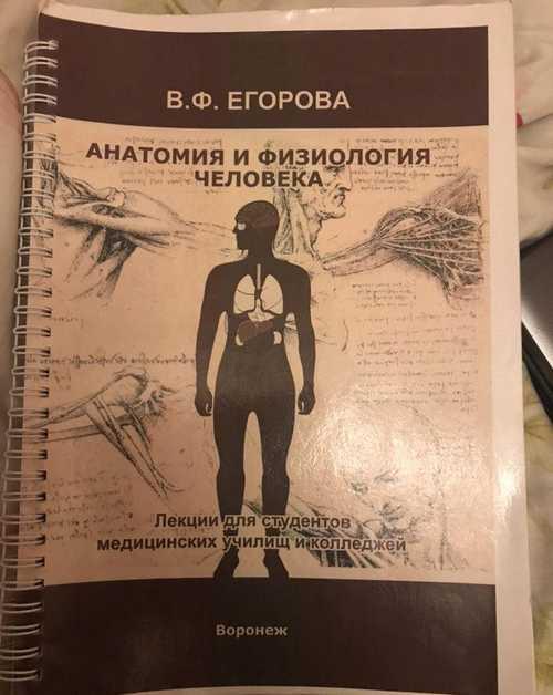 Анатомия и физиология человека. Егорова. Лекции дл