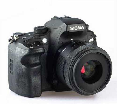 Sigma SD1 + 30mm f/1.4 A + 50mm f/1.4 DG