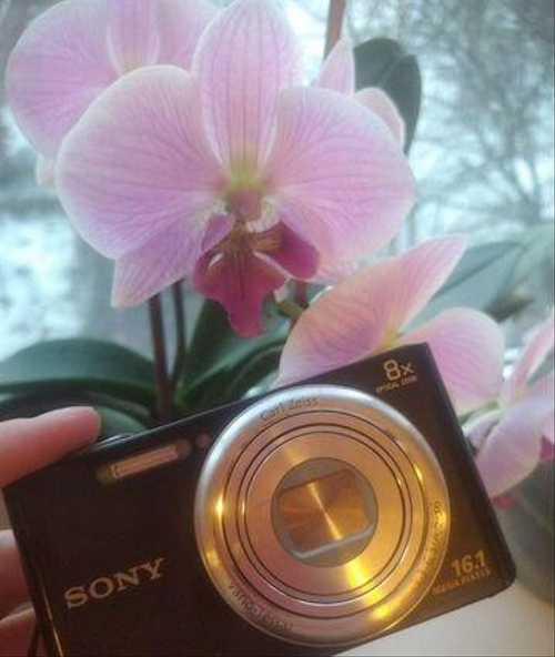 Компактный фотоаппарат Sony Cybershot DSC-W730