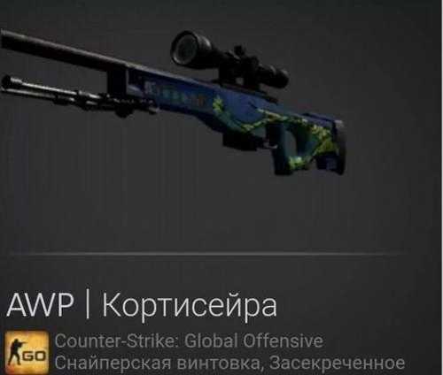 AWP "Кортисейра" после полевых испытаний