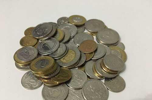 Монеты польские злотые и гроши