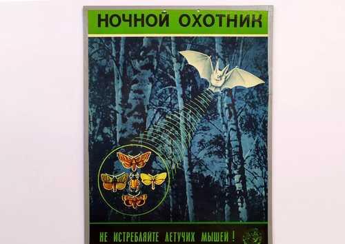 Плакат 1969г Школа СССР Летучие мыши винтаж эколог