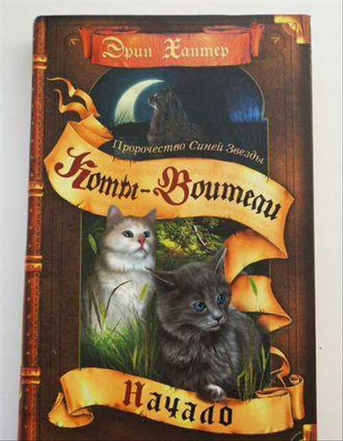 Книга "Коты-Воители. Пророчество Синей Звезды"