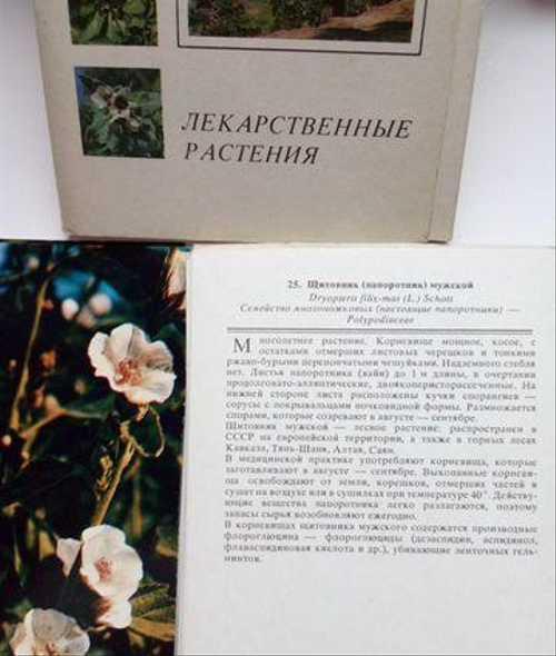 Открытки СССР Лекарственные растения