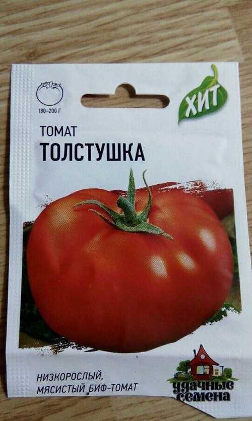 Купить томаты толстой. Томат толстый монах.