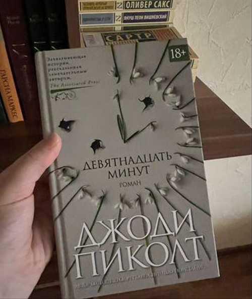 «Девятнадцать минут» Джоди Пиколт