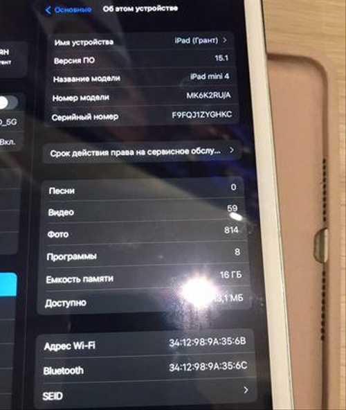 iPad mini 4 RU