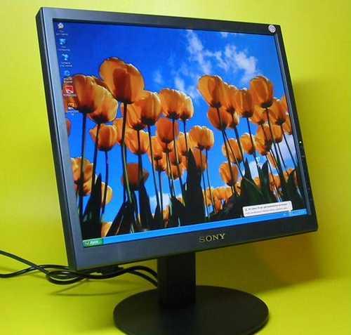 Профессиональный 20,1" IPS монитор Sony SDM-S204E