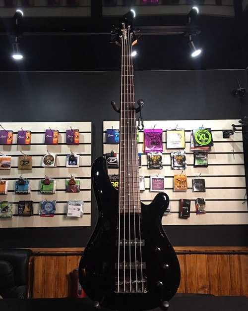 Fernandes bass gravity 5xptr