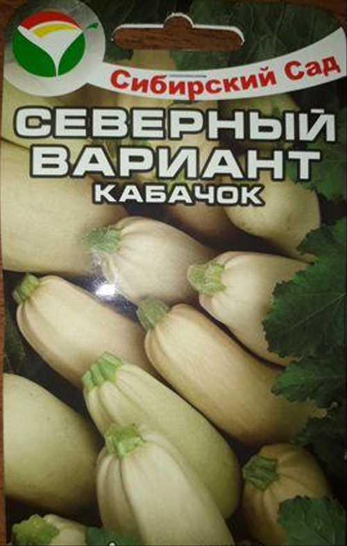 Сибирский сад кабачок завтрак нефтяника