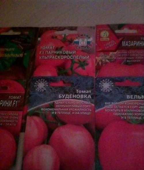 Купить рассаду помидор в спб