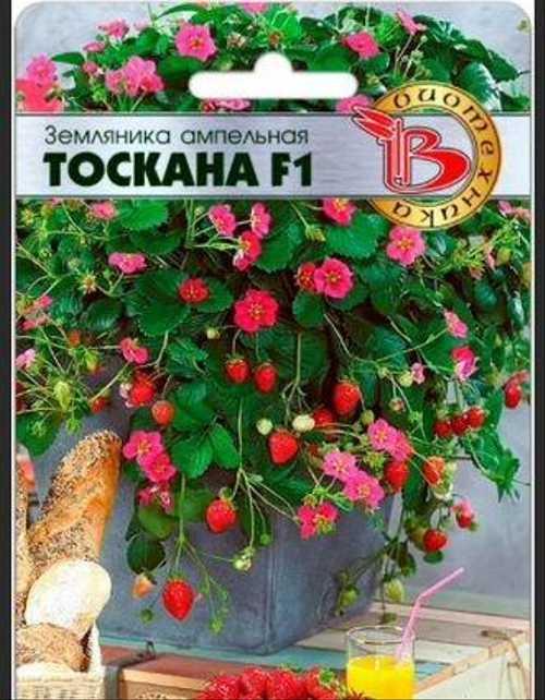 Рассада земляники Тоскана