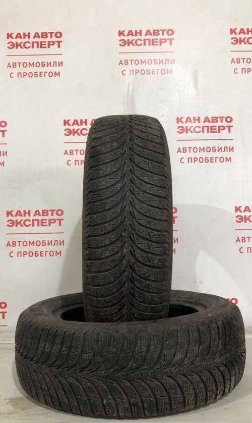 Шины Зимняя(фрикционная) Goodyear 175/65R14