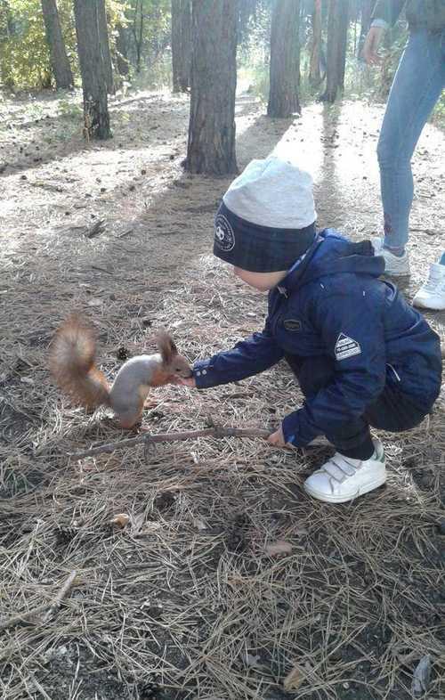 Ветровка для мальчика