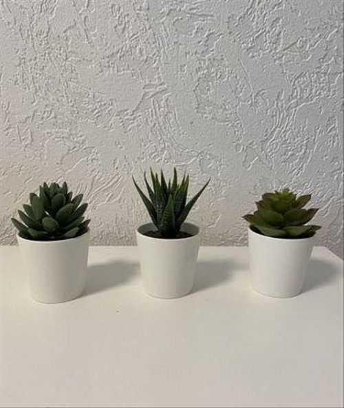 Искусственные суккуленты растения IKEA