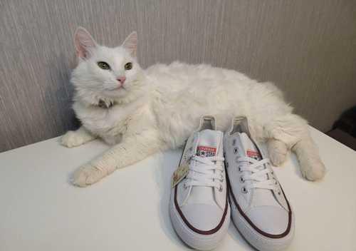 Кеды Converse