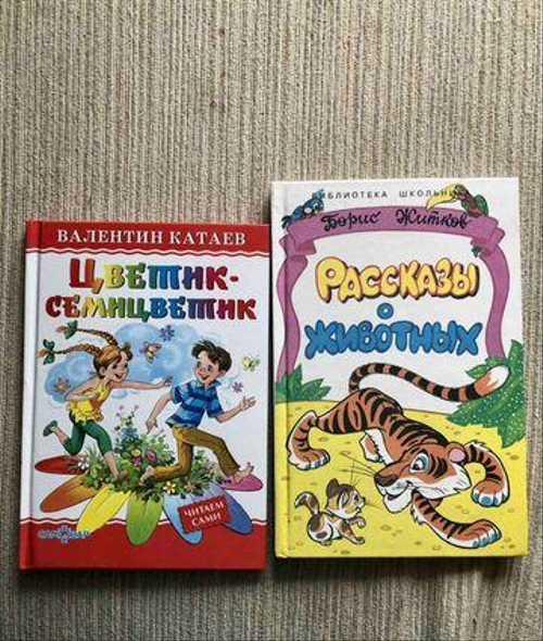 Детские книги библиотека школьника