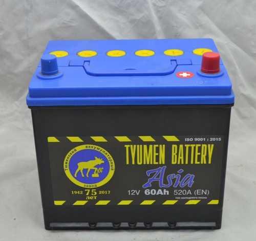 Tyumen asia 65 обр пол. Аккумулятор Tyumen Battery 60ah. АКБ Tyumen Standart Азия 60. АКБ Tyumen 65 Asia о/п. EUROSTART Asia 6ст- 60 (о.п.) (65d23l).